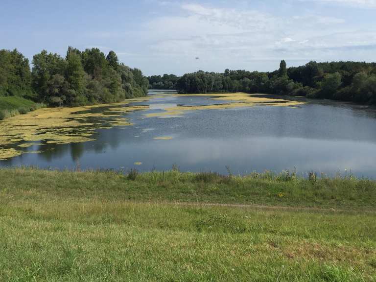 Die 10 schönsten Wanderungen im Réserve Naturelle De L'Île De Rhinau ...