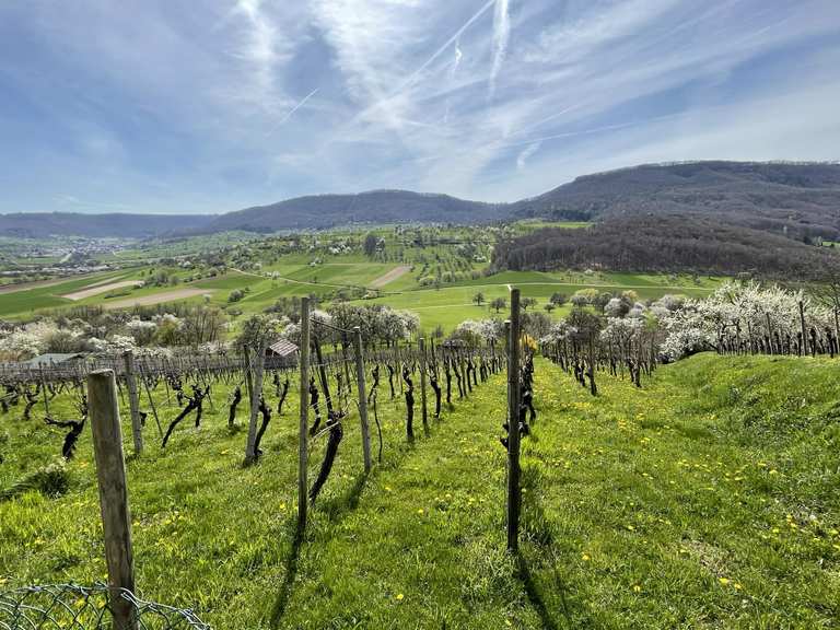 Attractions and Places To See in Limburg - Top 18 | Komoot