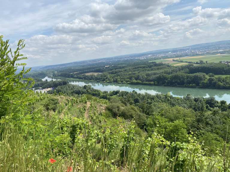 Top 10 randonnées et balades autour de la Réserve Naturelle De L'Île De ...
