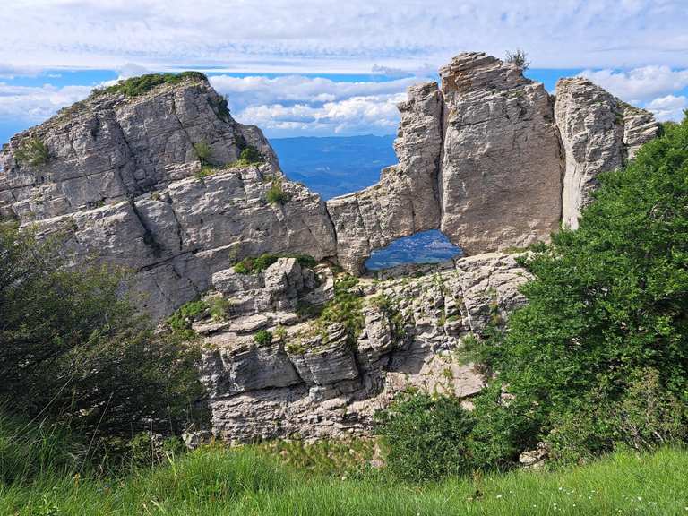 Top 10 Hikes and Walks in Forêt De Saoû | Komoot