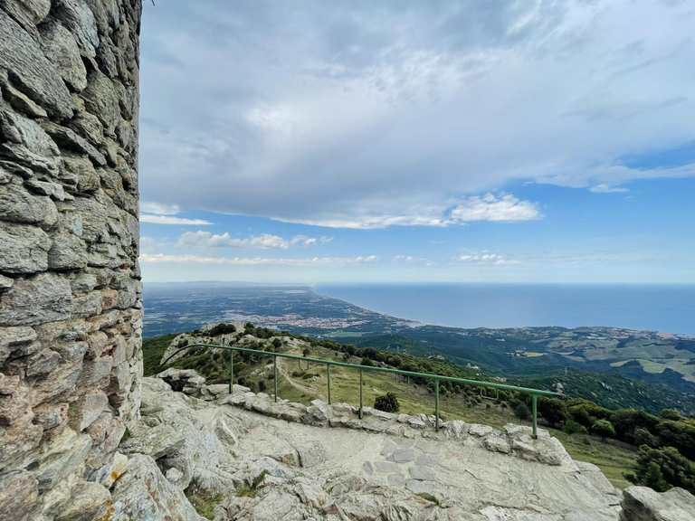 Top 10 randonnées et balades autour de la Réserve Naturelle De La Forêt ...
