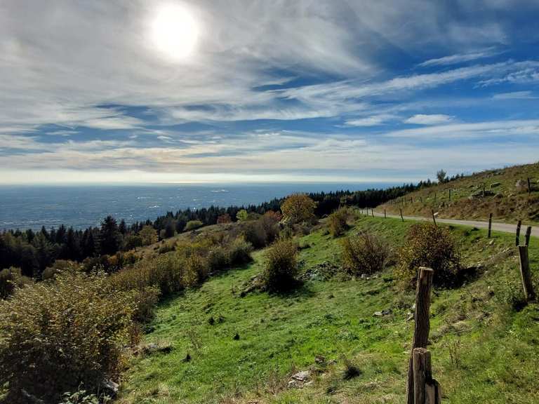 Le 10 escursioni e trekking migliori nei dintorni di Foresta Del Cansiglio | komoot