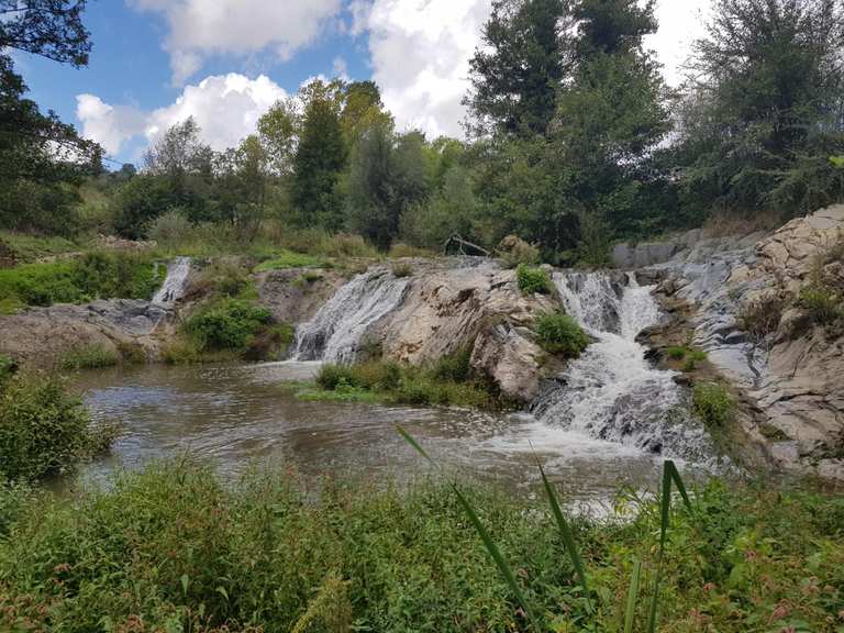 Die 10 schönsten Fahrradtouren im Riserva Naturale Selva Del Lamone ...