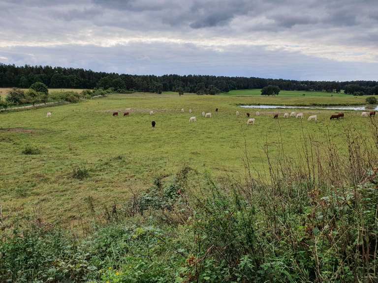 Ausflugsziele rund um Joachimsthal - Die Top 20 | Komoot