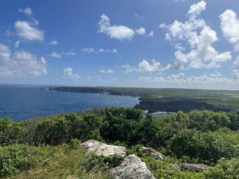 Lista 10 najlepszych tras biegowych w rezerwacie Reserva Ecológica ...