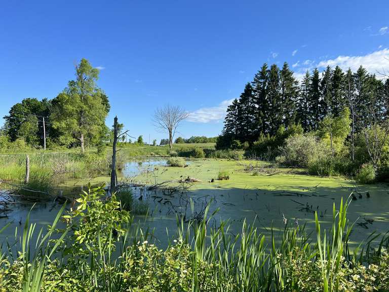 Top 6 Most Beautiful Road Biking Routes in Noisy River Provincial Park ...