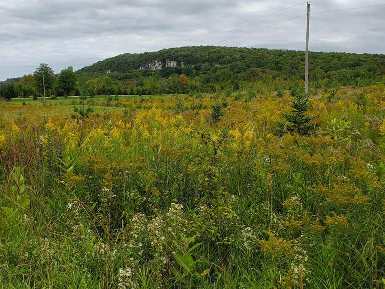 Top 5 Hikes and Walks in Duncan Escarpment Provincial Park | Komoot