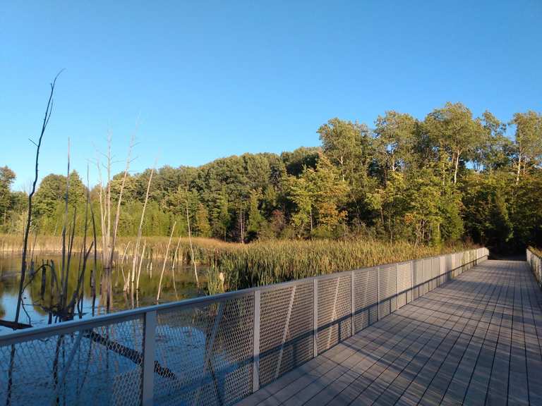 Top 8 randonnées et balades autour du Parc-Nature Du Bois-De-L'Île ...