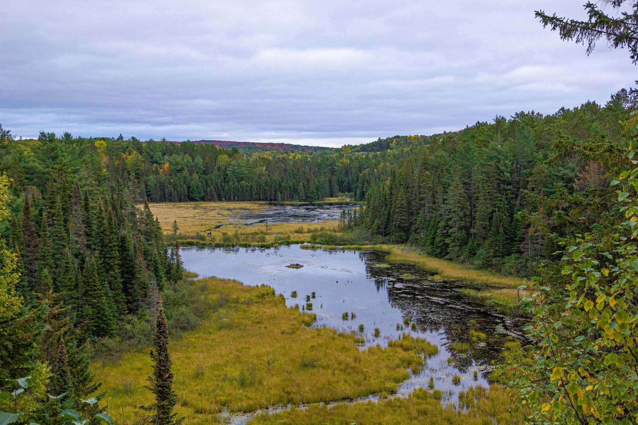 Algonquin Provincial Park