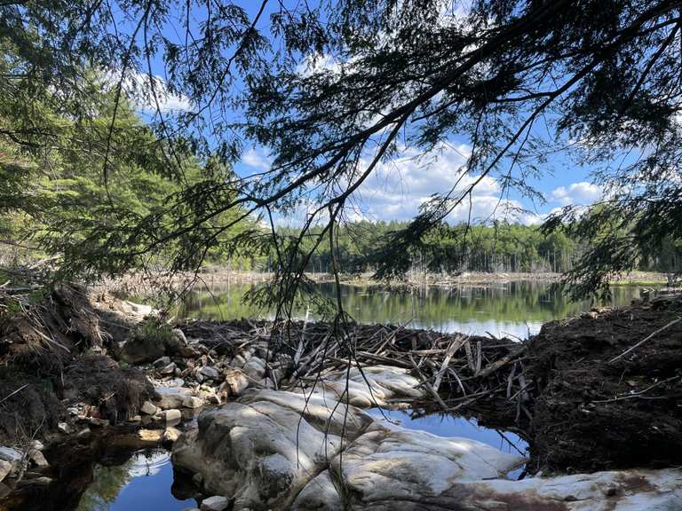 Top 5 Hikes and Walks in Silent Lake Provincial Park | Komoot