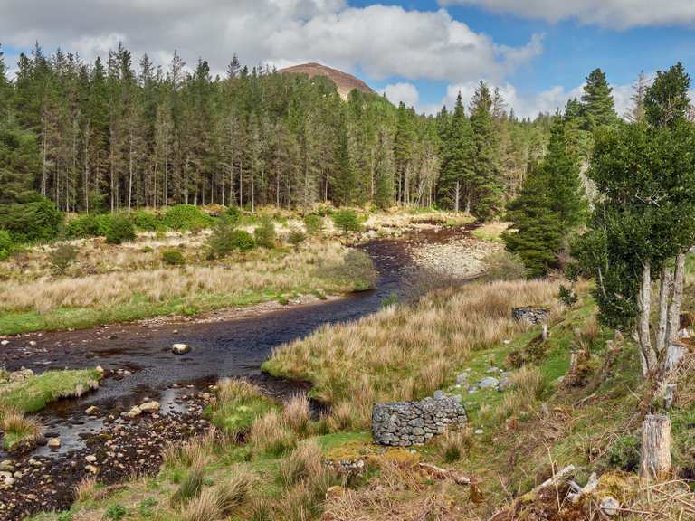 Top 9 Hikes and Walks in Wild Nephin National Park | Komoot