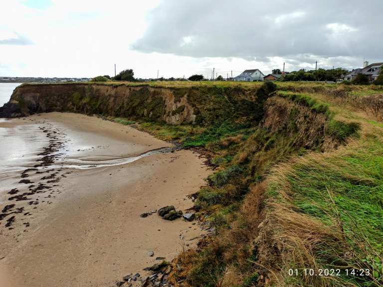 Top 10 Hikes and Walks in Rogerstown Estuary Nature Reserve | Komoot