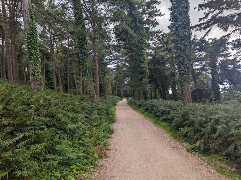 Top 10 Hikes and Walks in Raven Point Nature Reserve | Komoot