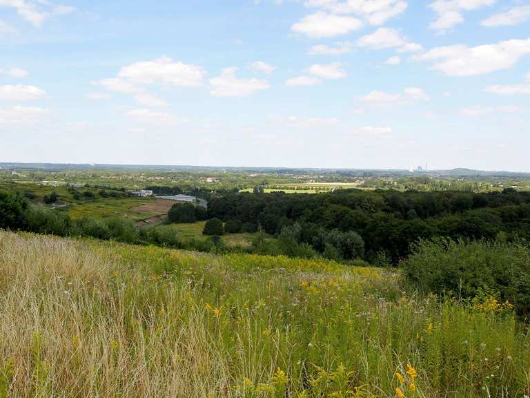 Die 10 schönsten Wanderungen rund um Holzwickede | Komoot