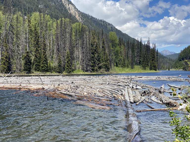 Top 6 Hikes and Walks in Duffey Lake Provincial Park | Komoot
