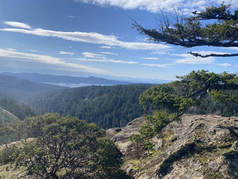 The best walks and hikes in Sooke Hills Wilderness Regional Park | Komoot