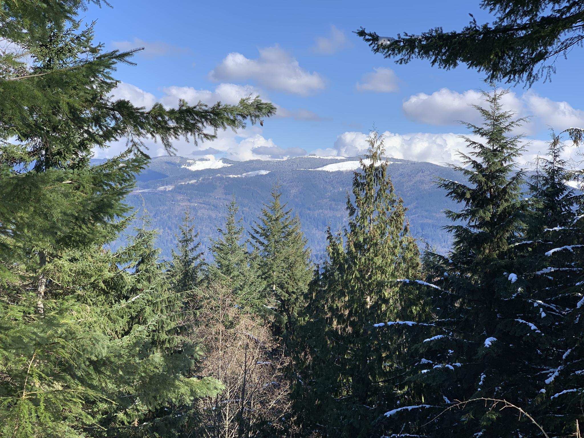 Top 11 Hikes and Walks in Lake Whatcom Park | Komoot