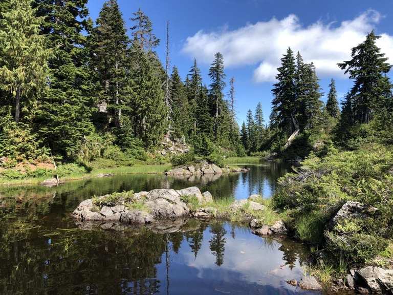 Top 10 Hikes and Walks in Morning Star Natural Resources Conservation ...