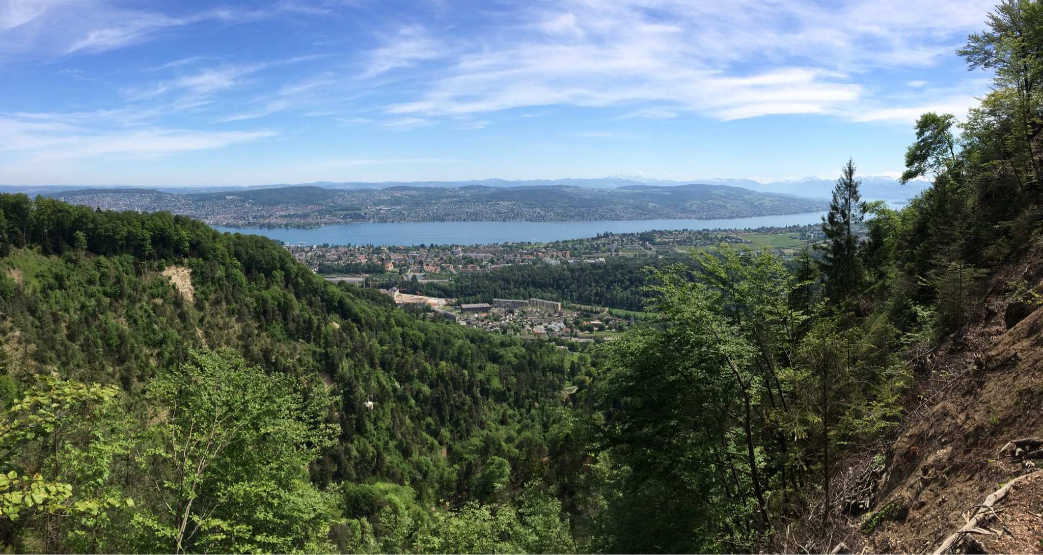 Top 20 Hikes and Walks in Zurich | Komoot