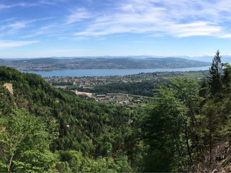 Top 10 Hikes and Walks in Zurich | Komoot