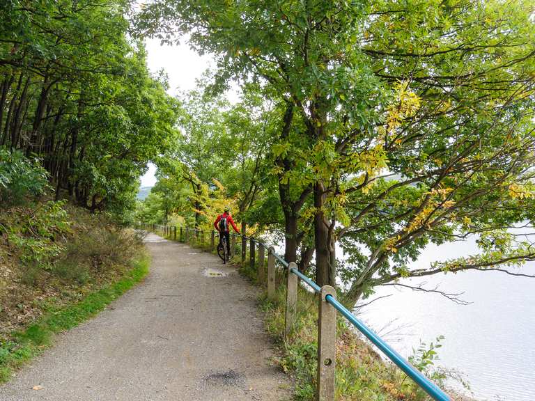 Top 20 Most Beautiful MTB Trails around Einruhr | Komoot