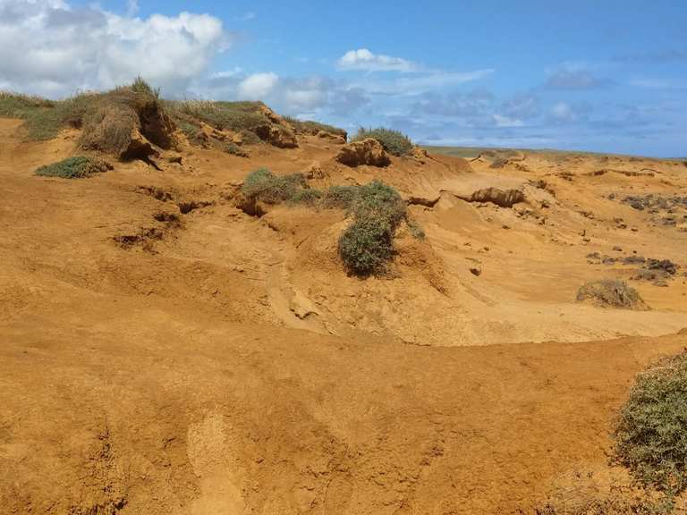 The best walks and hikes in KaʻŪ Forest Reserve | Komoot