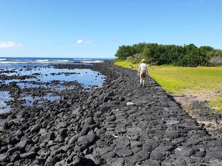 Top 7 Most Beautiful Road Biking Routes in Kaloko-Honokōhau National ...