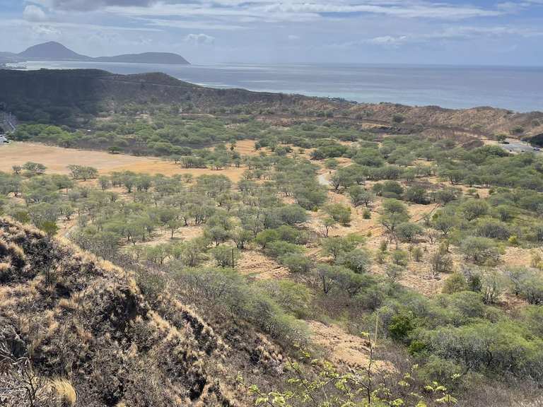 Top 10 Hikes and Walks in Diamond Head State Monument | Komoot