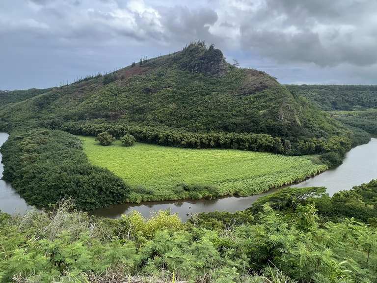 The best walks and hikes in Kalepa Mountain Forest Reserve | Komoot