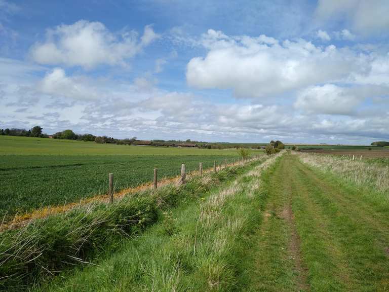 Attractions and Places To See in Fyfield Down National Nature Reserve ...