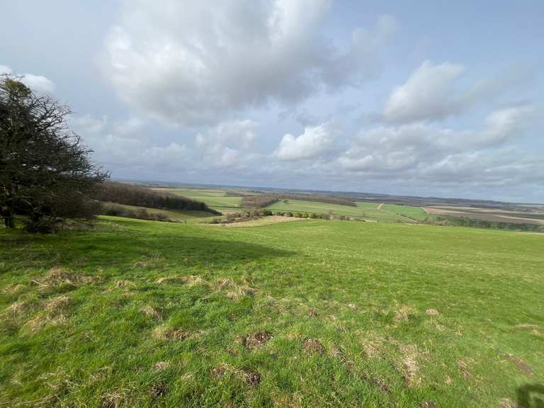Top 10 Hikes and Walks in Martin Down National Nature Reserve | Komoot