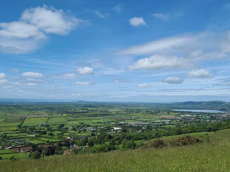 Top 9 Hikes and Walks in Rodney Stoke National Nature Reserve | Komoot