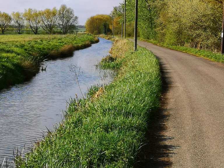 Top 8 Hikes and Walks in Stodmarsh National Nature Reserve | Komoot