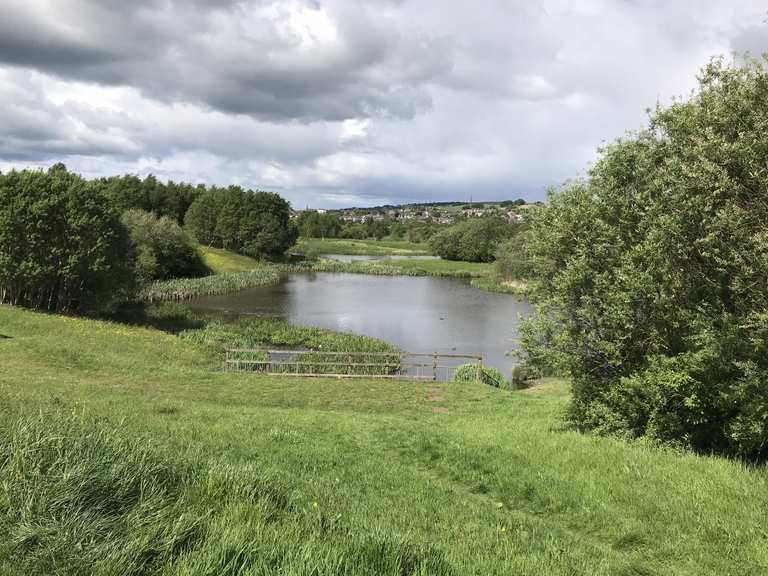 7 trilhas e caminhadas imperdíveis perto de Crieff | komoot