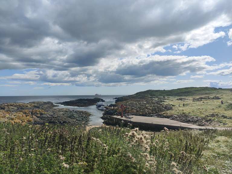 Top 8 Hikes and Walks around Isle Of May National Nature Reserve | Komoot
