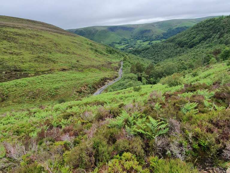 Die 10 schönsten Wanderungen im Allt Rhyd Y Groes National Nature ...