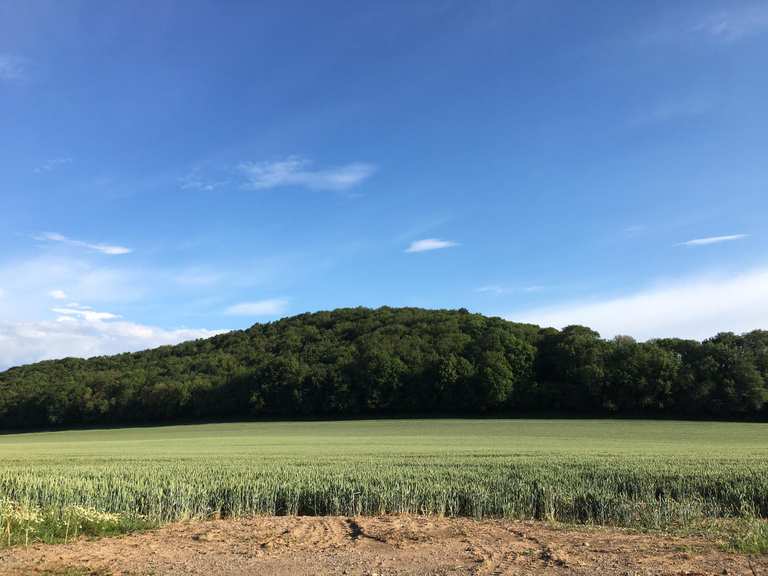 Top 10 Hikes and Walks around Penhow Woodlands National Nature Reserve ...