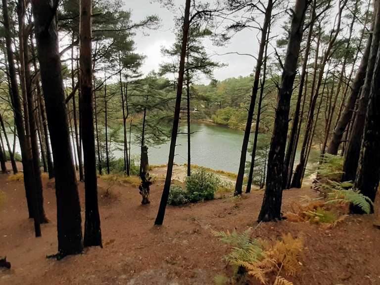 Top 9 Hikes and Walks in Stoborough Heath National Nature Reserve | Komoot