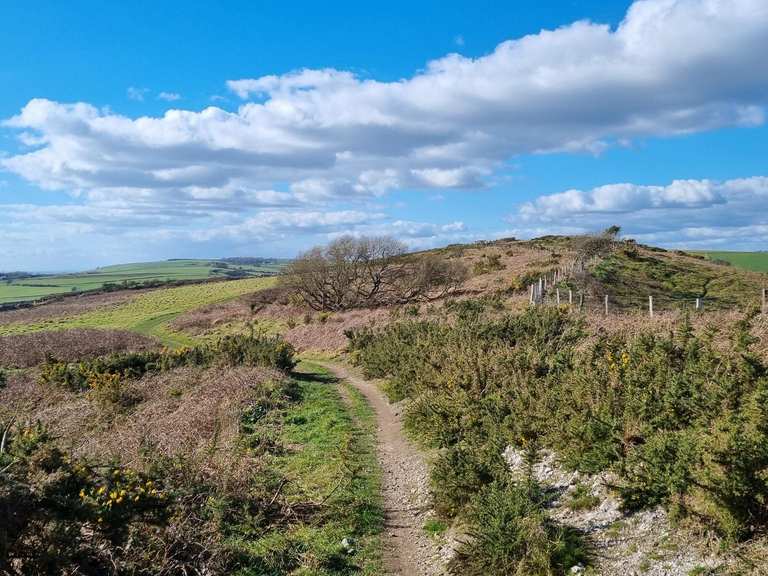 Top 10 Running Trails in Hog Cliff National Nature Reserve | Komoot