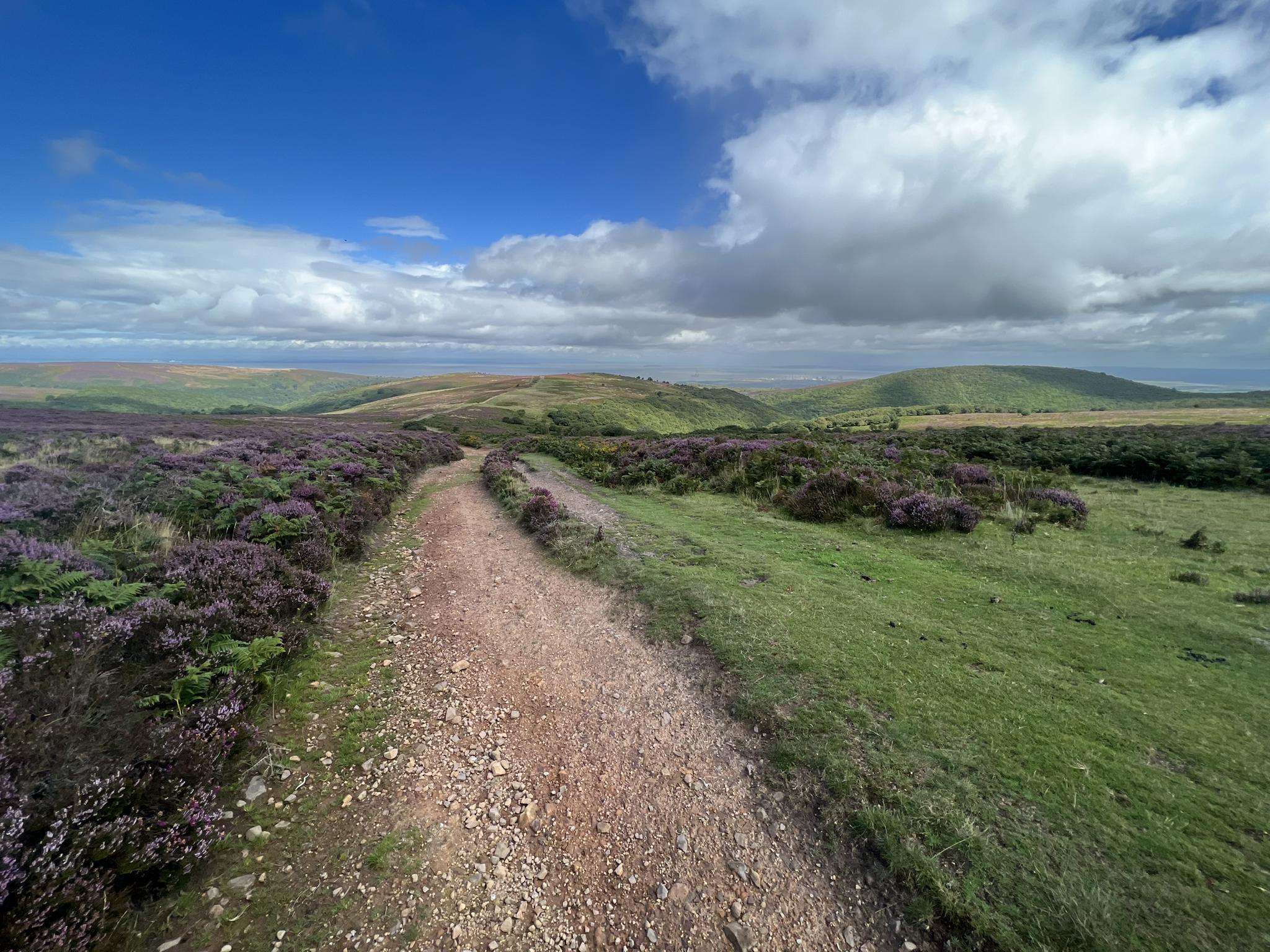 Top 10 Hikes and Walks in Quantock Hills Aonb | Komoot