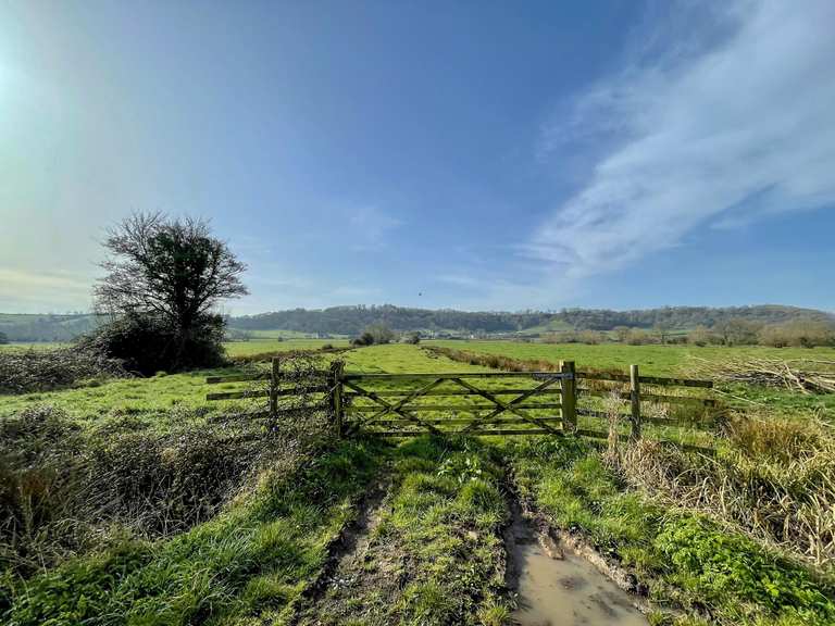 The best cycling routes in Somerset Levels National Nature Reserve | Komoot
