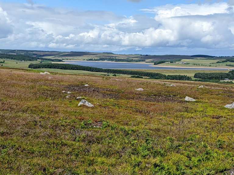 Top 10 Hikes and Walks around Derwent Gorge And Muggleswick Woods ...