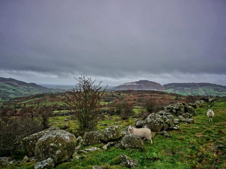 Top 5 Hikes and Walks in Ring Of Gullion Aonb | Komoot