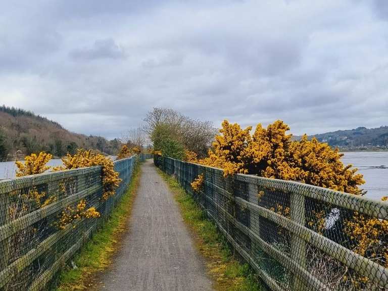 Die 15 schönsten Laufstrecken im Ring Of Gullion Aonb 🏃 | Komoot