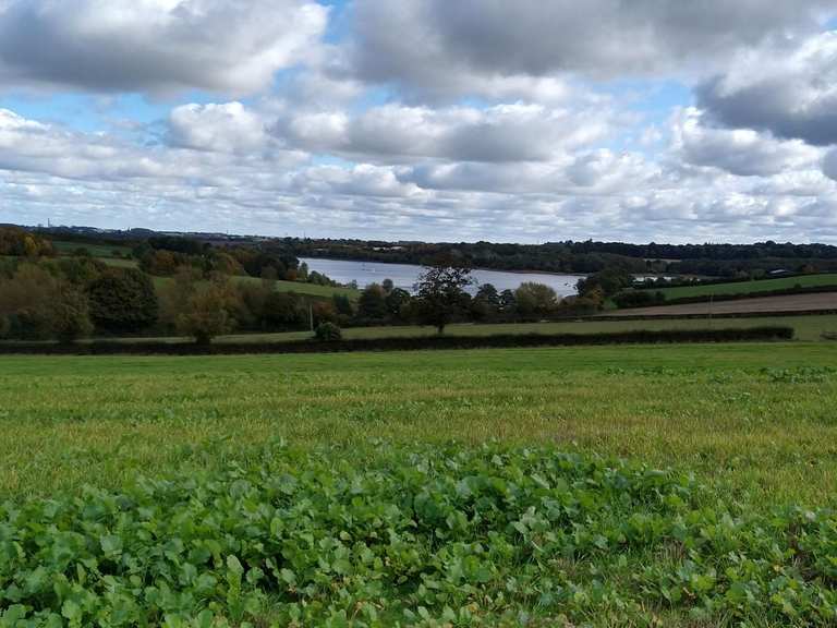 Top 10 Hikes and Walks in Calke Park National Nature Reserve | Komoot