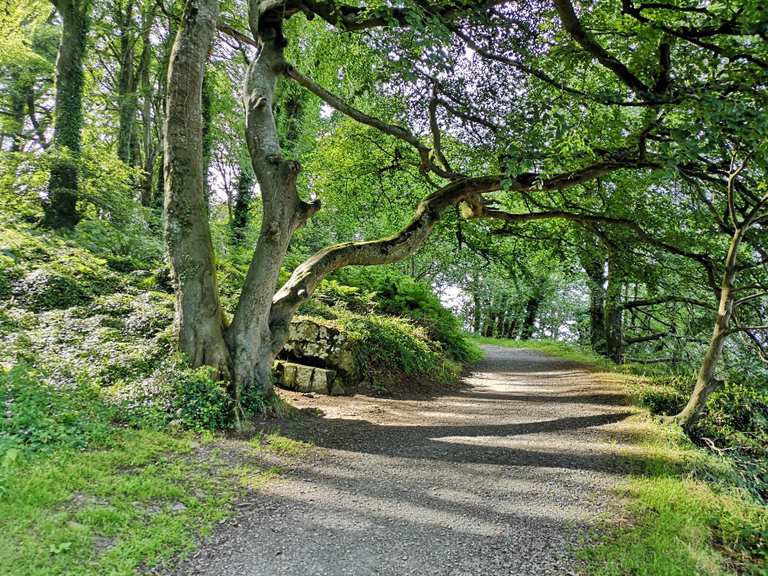 Die 10 schönsten Wanderungen im Strangford And Lecale Aonb | Komoot