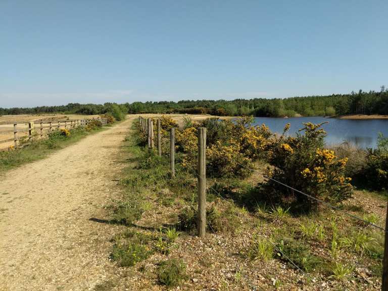 Top 10 Hikes and Walks in Castle Bottom National Nature Reserve | Komoot