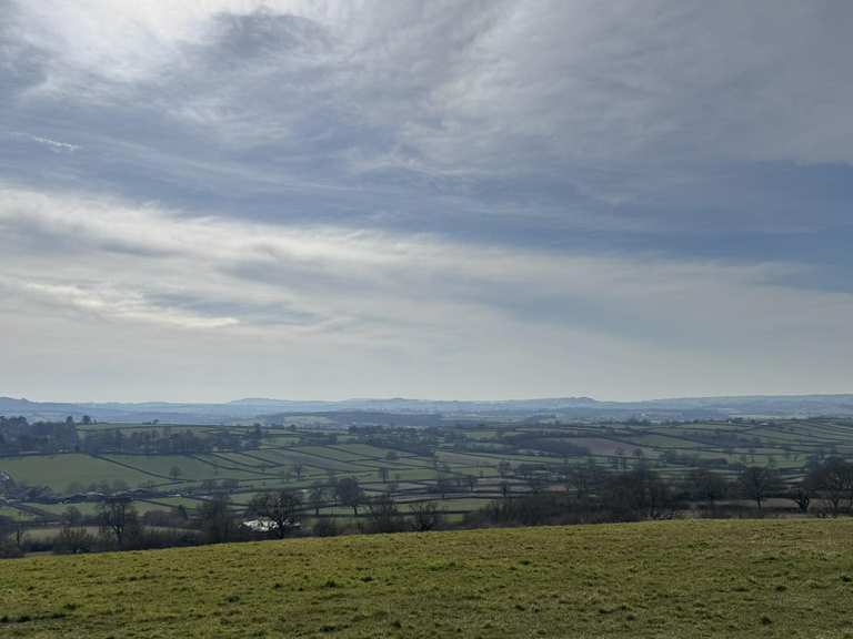 Top 5 Hikes and Walks in Hardington Moor National Nature Reserve | Komoot