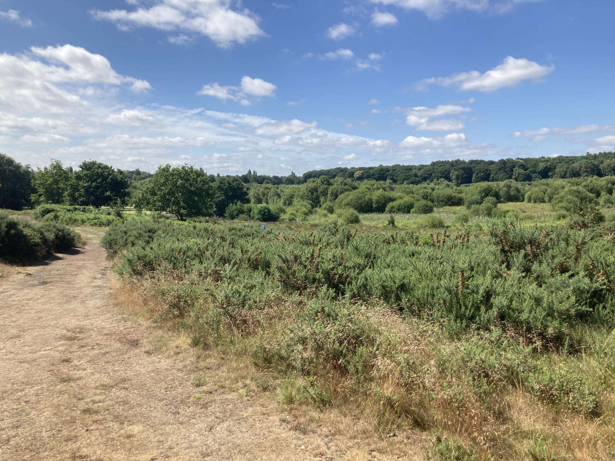 Top 10 Hikes and Walks in Sutton Park National Nature Reserve | Komoot
