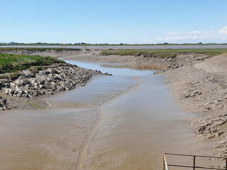 Top 10 Hikes and Walks in Huntspill River National Nature Reserve | Komoot